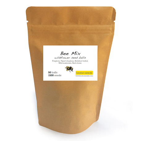 Wildflower Seedballs and Seedboms | Wildflower Seed Mixes - Landlife ...