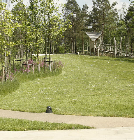 Wildflower Turf | Meadow Turf | Buy Online Today - Landlife Wildflower